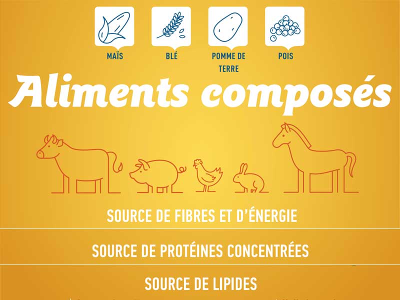 L'offre Roquette pour les aliments composés et mash