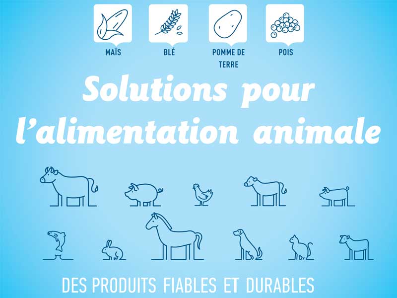 Nutrition animale : Ingrédient alimentation animale