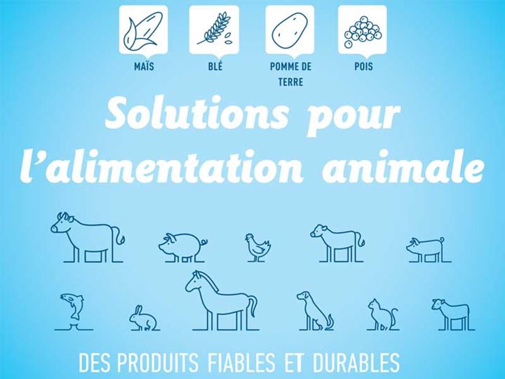 Nutrition animale : Ingrédient alimentation animale