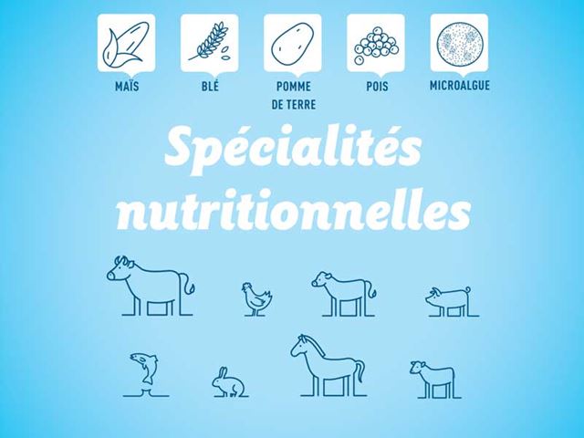 Nutrition animale : Ingrédient alimentation animale