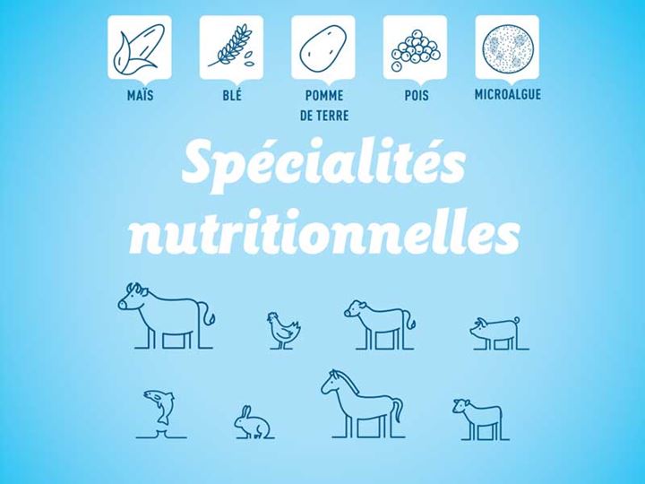 Nutrition animale : Ingrédient alimentation animale