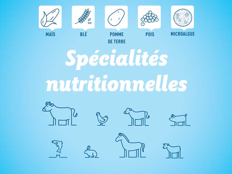 Nutrition animale : Ingrédient alimentation animale