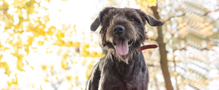 Finalisation de l’acquisition de Qualicaps - Roquette